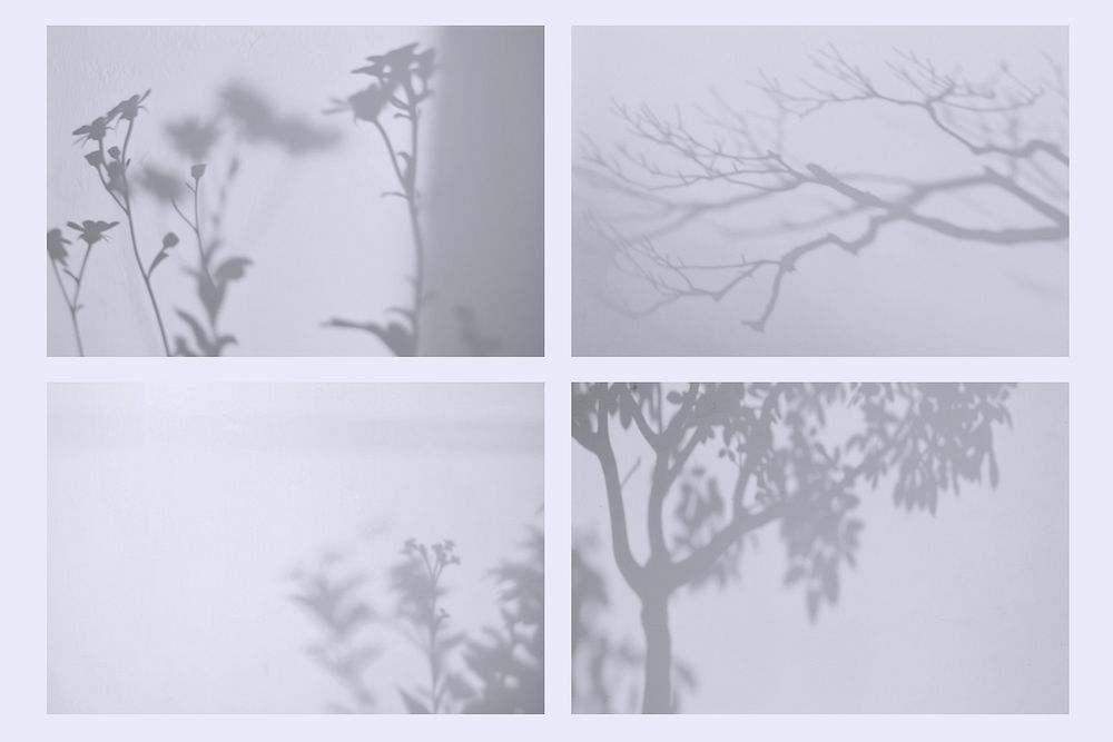 Editable tree and branch shadow | Premium Editable Design - rawpixel