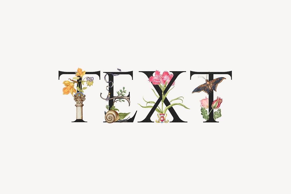 Model Book Of Calligraphy Letters Images | Download Free Design ...