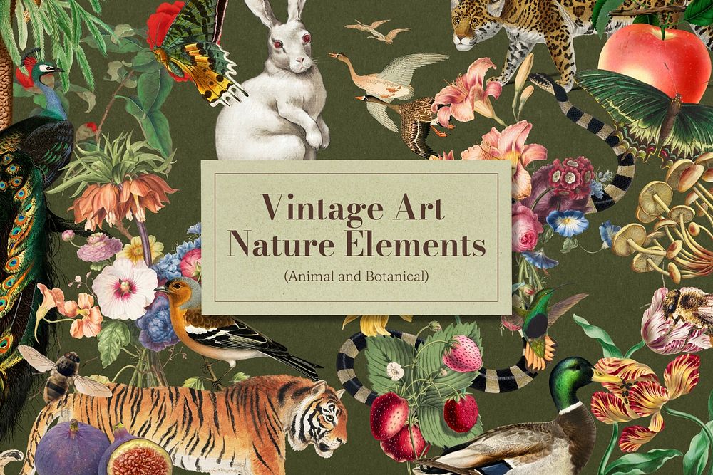 Zoo Animal Templates | Download Free Designs on rawpixel