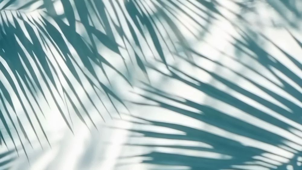 video close-up, top-down angle palm | Free Video - rawpixel