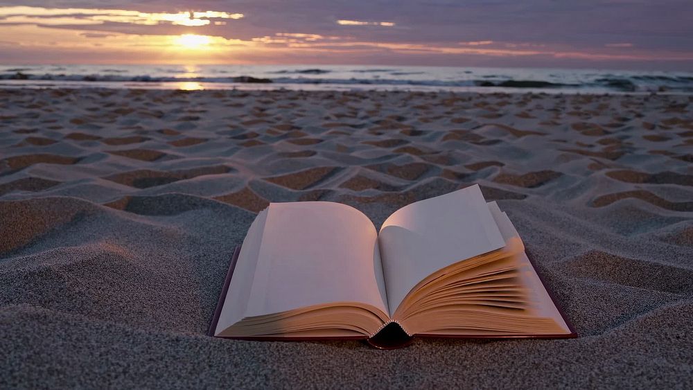 serene video scene an open | Free Video - rawpixel