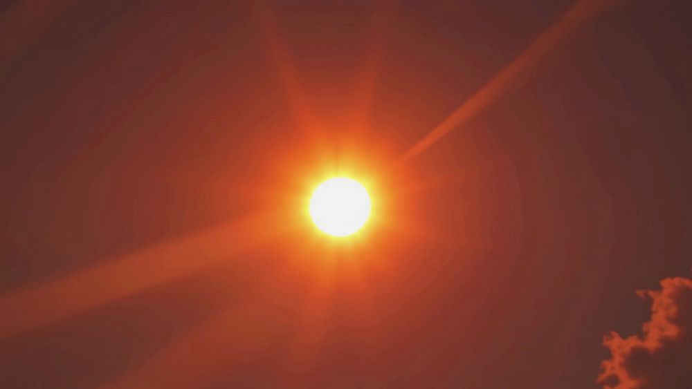 video captures sun midday lens | Free Video - rawpixel