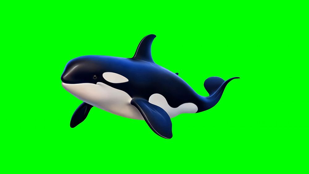 Orca swimming animation, transparent 4K | Free Video - rawpixel