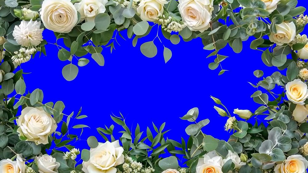 White flower frame animation, transparent | Free Video - rawpixel