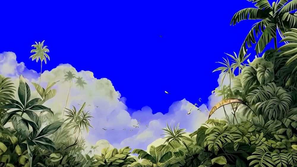 Lush tropical jungle illustration animation | Free Video - rawpixel