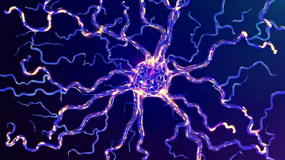 Top-down view glowing neuron-like structures | Free Video - rawpixel