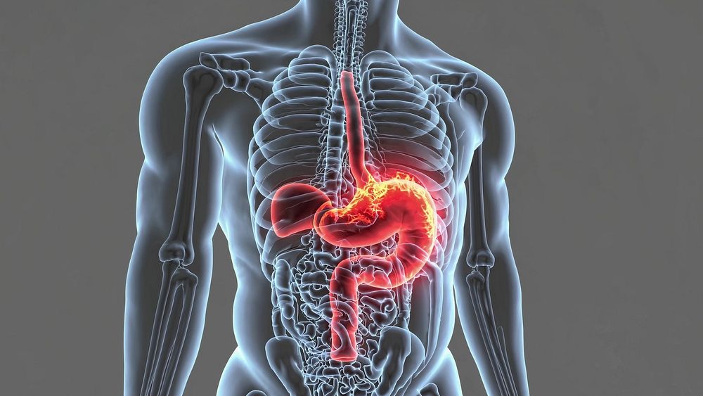 Video still human torso transparent | Free Video - rawpixel