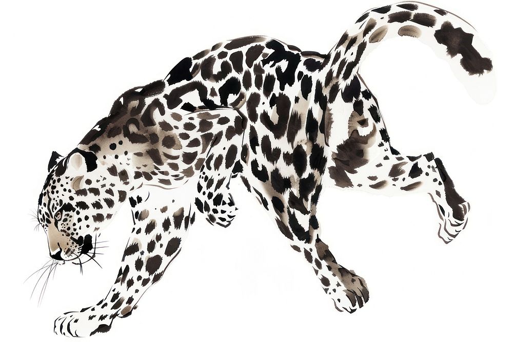Leopard Japanese minimal leopard wildlife | Free Photo Illustration ...
