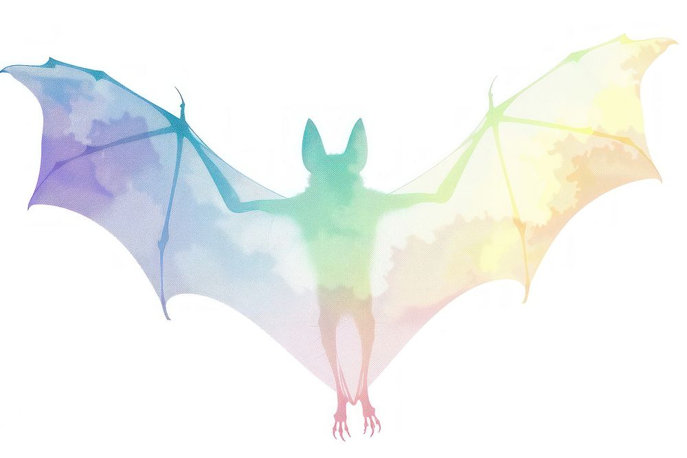 Flying bat silhouette wildlife kangaroo | Free Photo Illustration ...