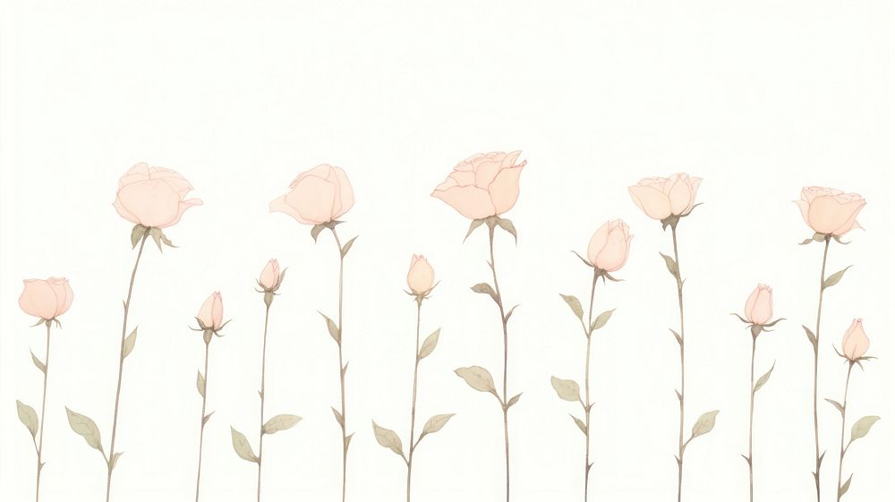 Roses as divider line watercolour | Free Photo Illustration - rawpixel