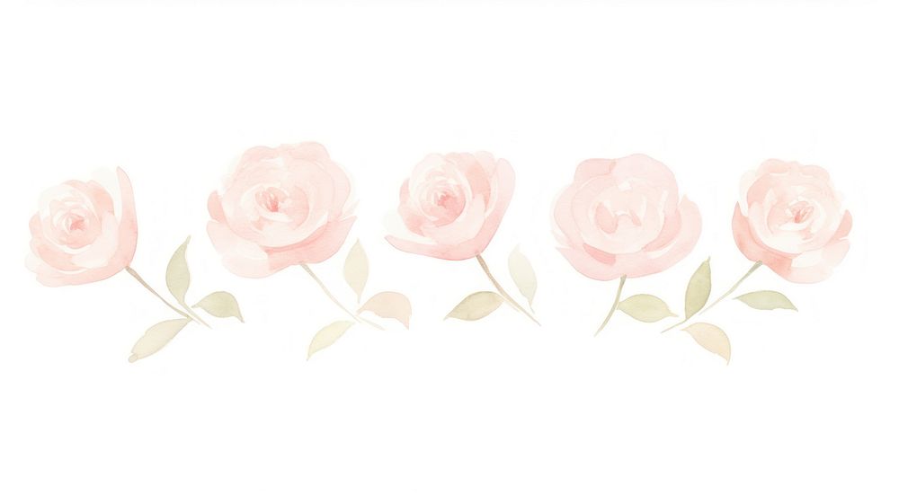 Roses as divider line watercolour | Free Photo Illustration - rawpixel