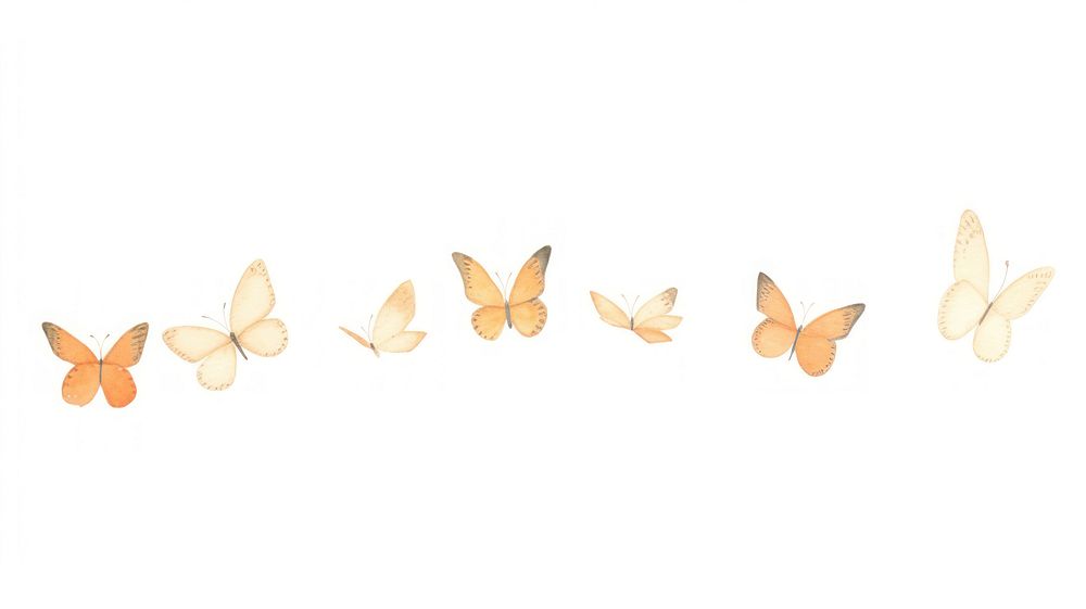 Butterflies as divider watercolor invertebrate | Free Photo ...