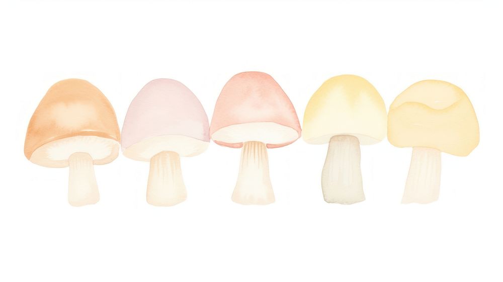 Mushrooms As Divider Watercolor Images | Free Photos, PNG Stickers ...