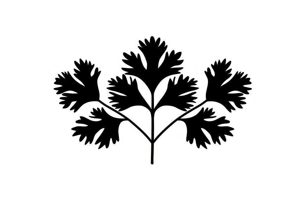 Cilantro stencil parsley animal | Free Photo Illustration - rawpixel
