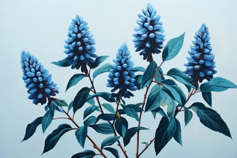 Blue clover flowers outdoors blossom | Free Photo Illustration - rawpixel