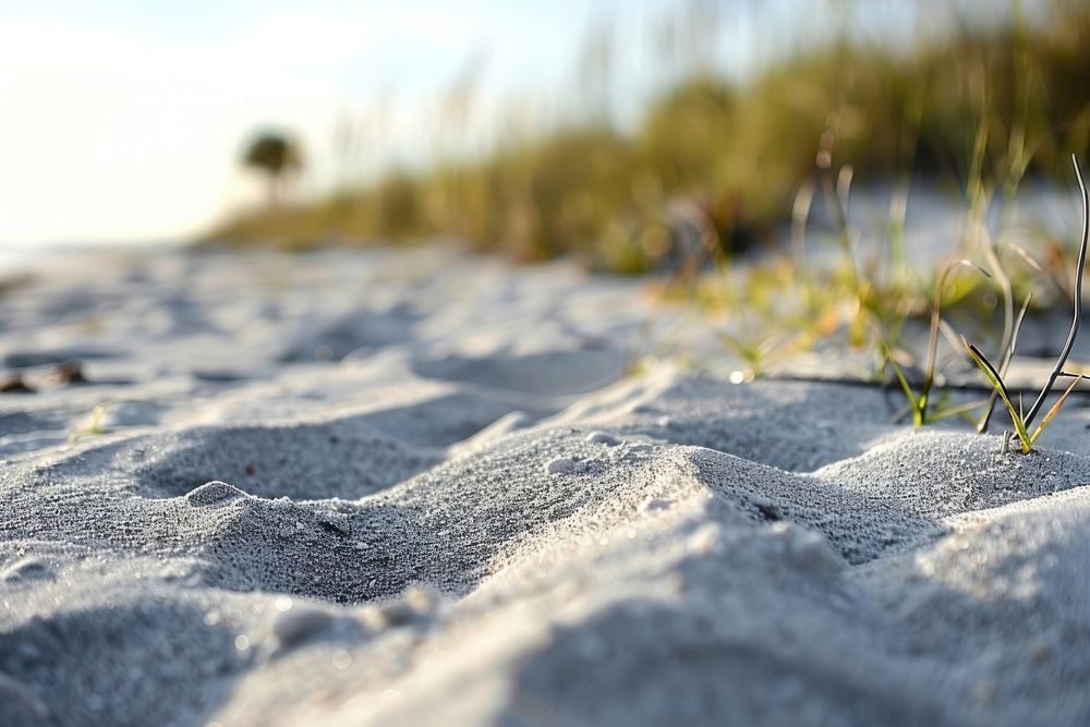 White sand Beaches beach shoreline | Free Photo - rawpixel