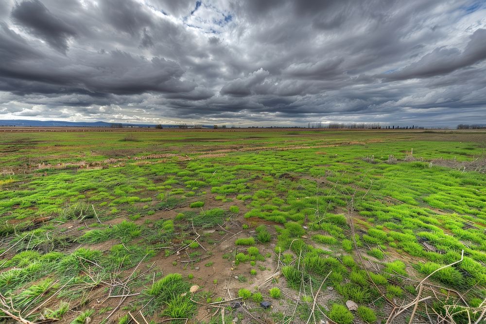 Big field outdoors horizon ground. | Free Photo - rawpixel