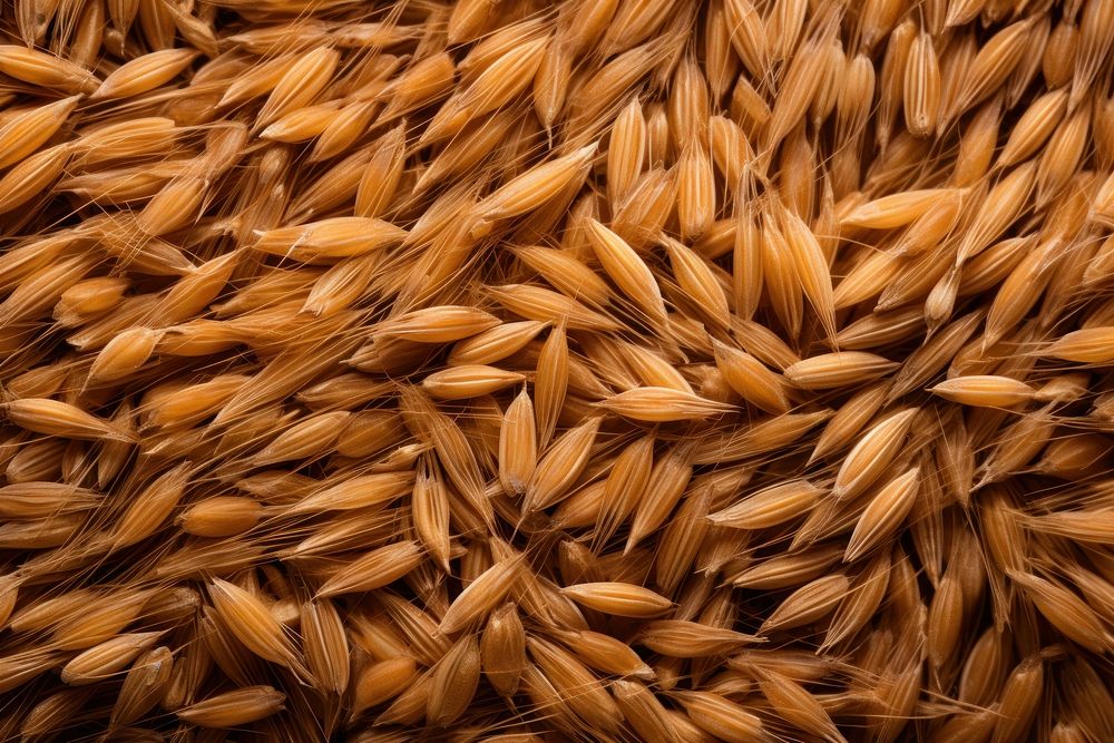 Wheat seed texture produce person | Free Photo - rawpixel