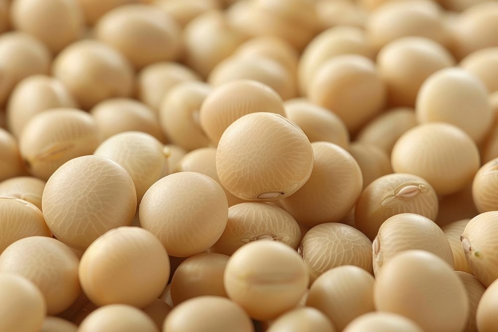 Fermented Soybeans soy vegetable produce | Free Photo - rawpixel