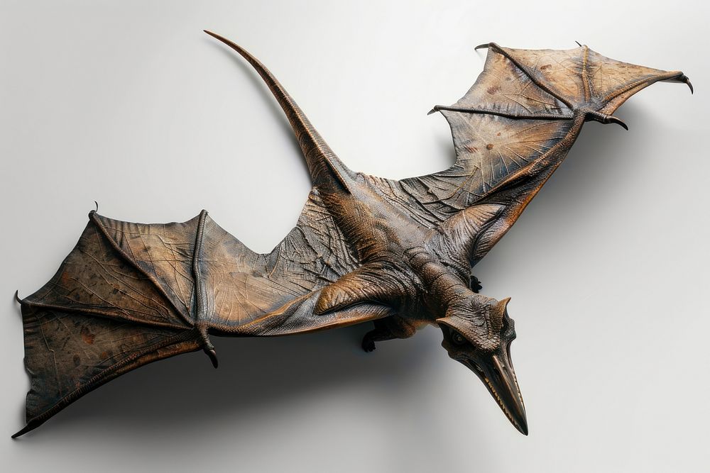 Pterodactyl wildlife animal mammal. | Free Photo - rawpixel
