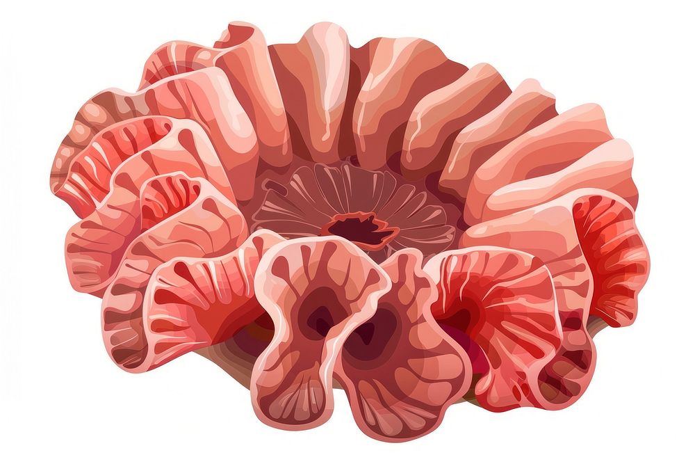 Ringed Favid Coral dynamite weaponry | Free Photo Illustration - rawpixel