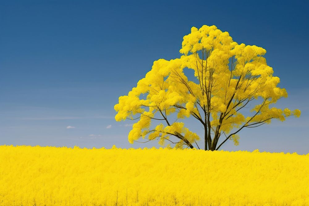 High contrast yellow landscape grassland | Free Photo - rawpixel