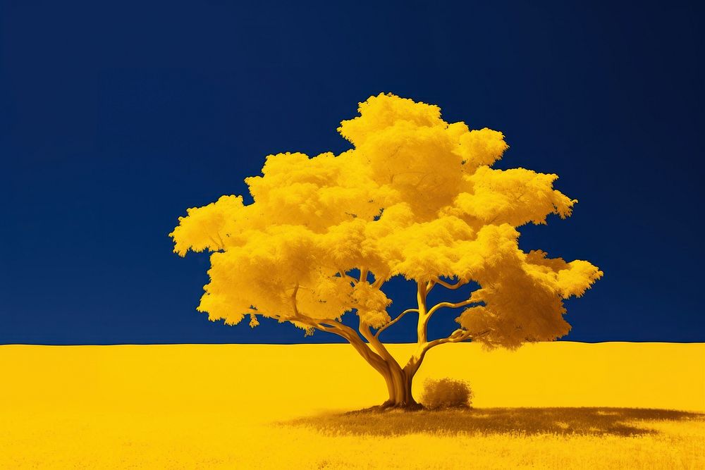 High contrast yellow outdoors bonfire | Free Photo - rawpixel