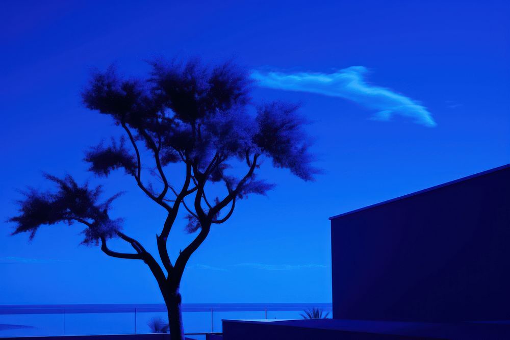 High contrast blue backlighting outdoors | Premium Photo - rawpixel