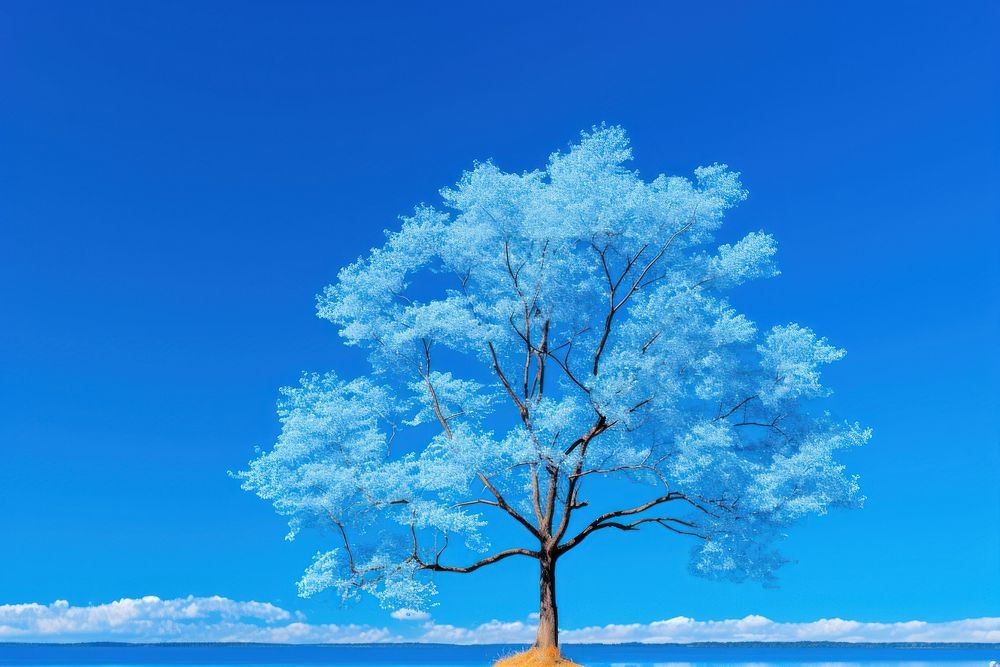 High contrast light blue outdoors | Premium Photo - rawpixel