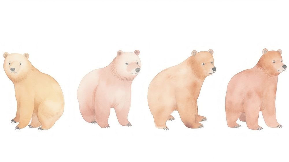 Bears as divider watercolor wildlife | Free Photo Illustration - rawpixel