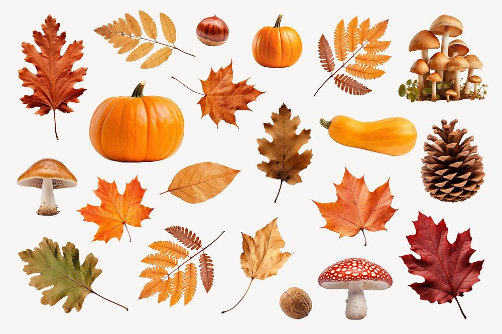 Autumn leaf element set | Premium Photo - rawpixel