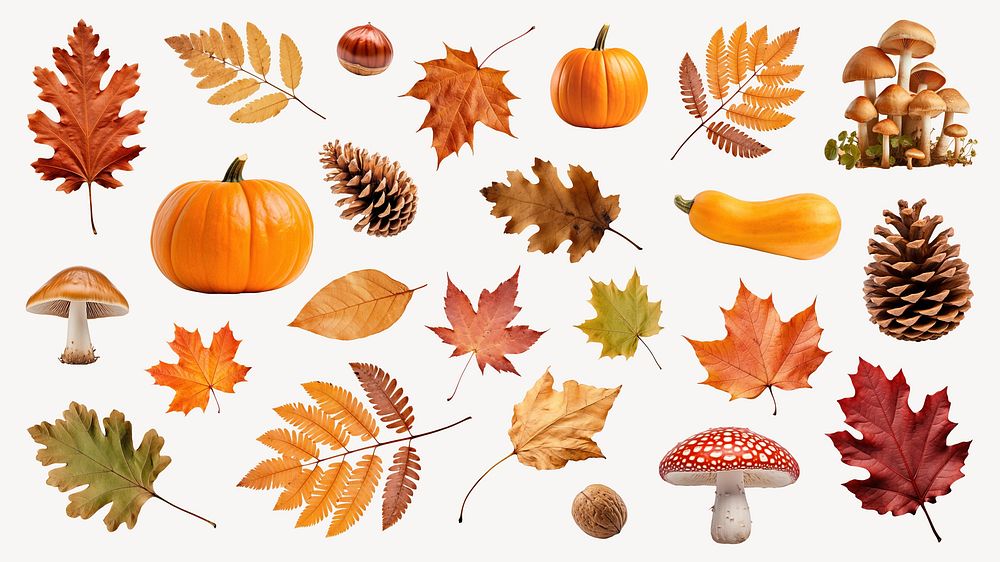 Autumn leaf element set | Premium Photo - rawpixel