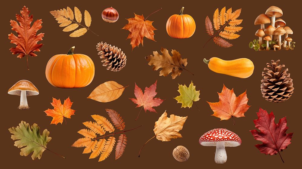 Autumn leaf element set | Premium Photo - rawpixel