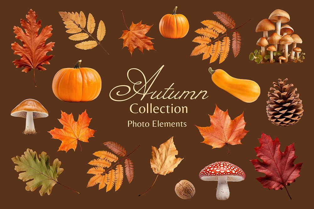 Autumn leaf element set | Premium Photo - rawpixel