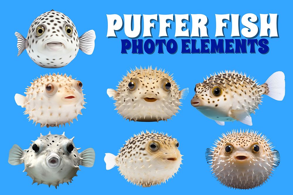 Puffer fish animal set | Free Photo - rawpixel