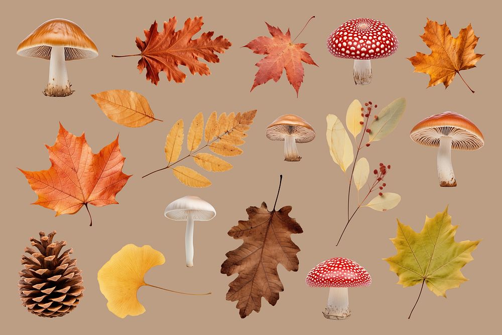 Autumn leaf element set | Premium Photo - rawpixel