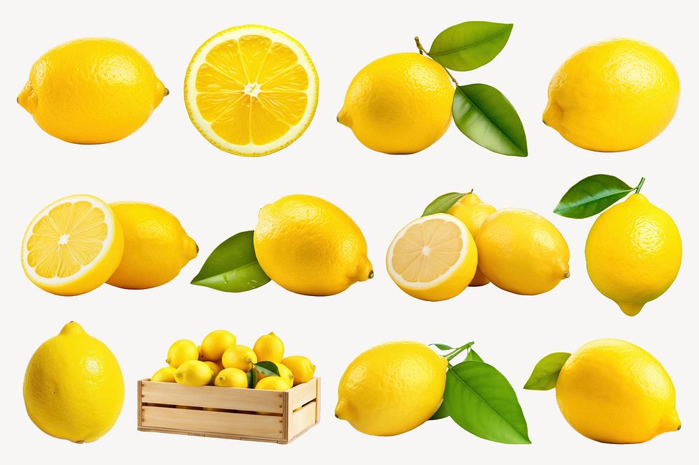 Lemon element set | Free Photo - rawpixel