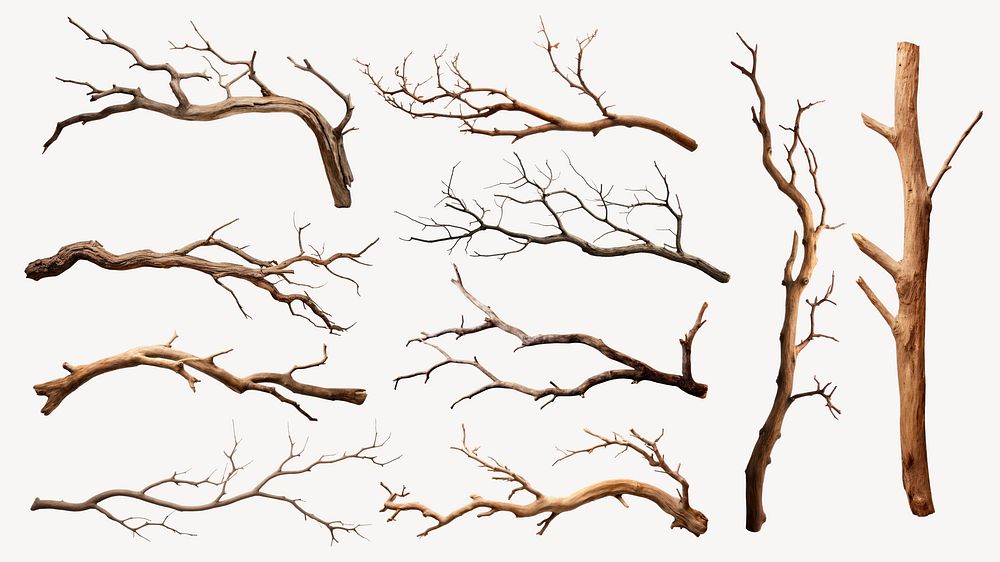Tree branch element set | Premium Photo - rawpixel