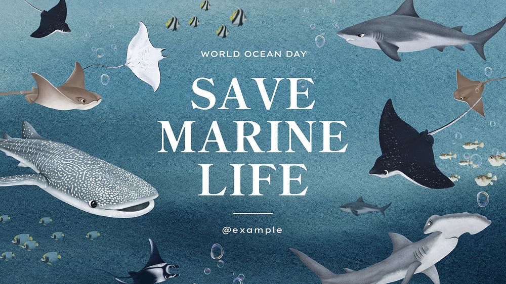 Save marine life blog banner | Free Photo - rawpixel