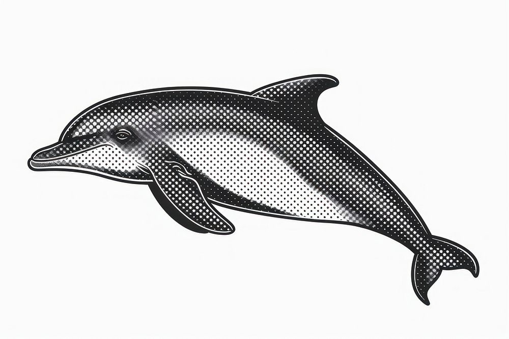 Dolphin animal mammal shark. | Free Photo Illustration - rawpixel