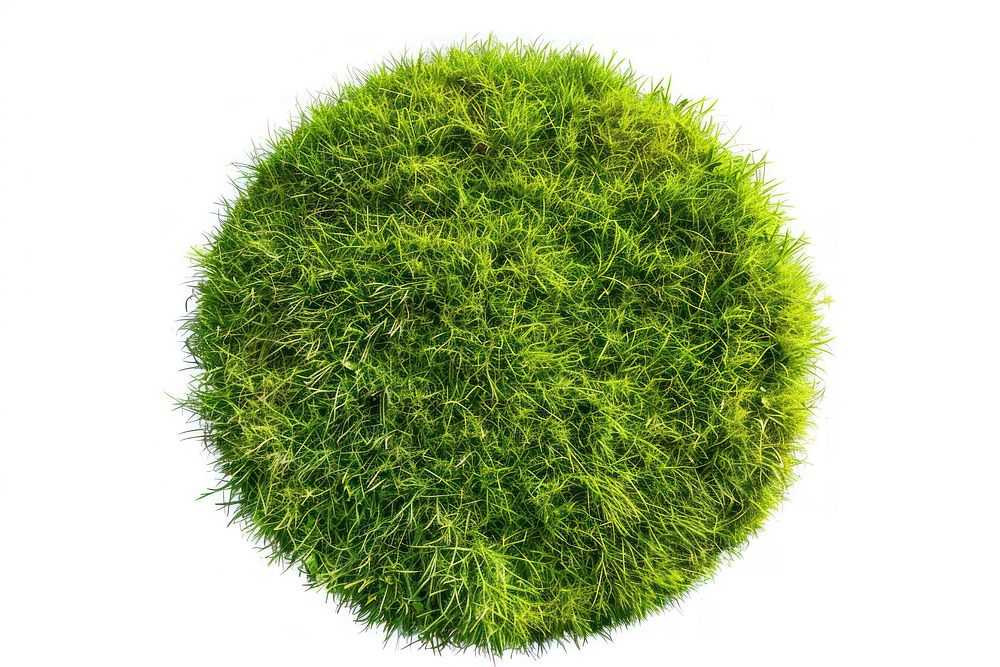 Circular lush green grass patch | Free Photo - rawpixel
