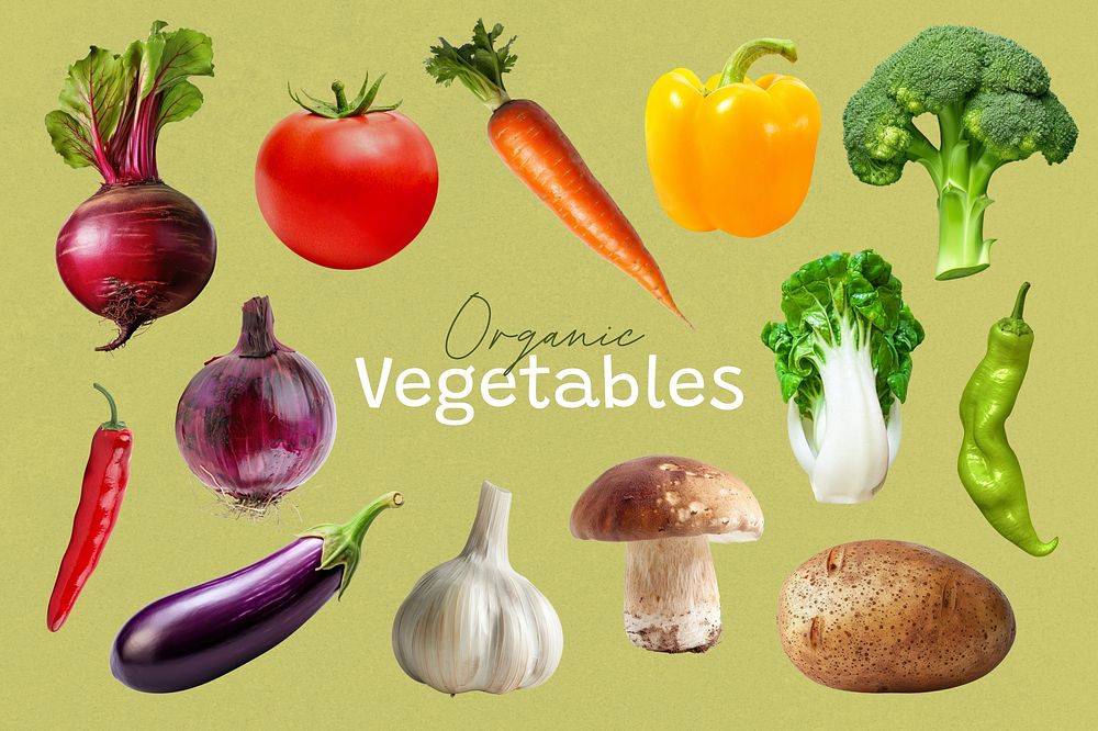 Various organic vegetable element set | Free Photo - rawpixel