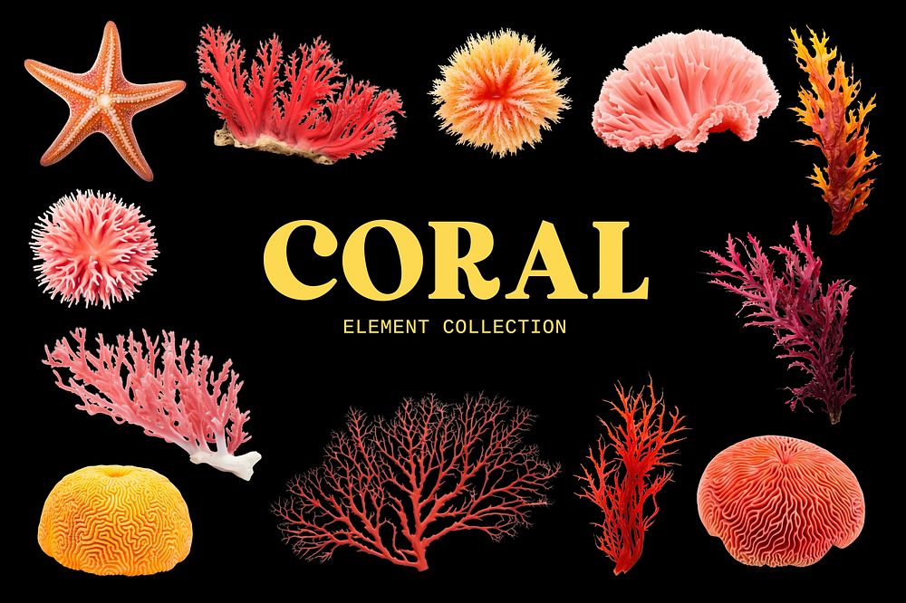 Pink sea coral element set | Free Photo - rawpixel