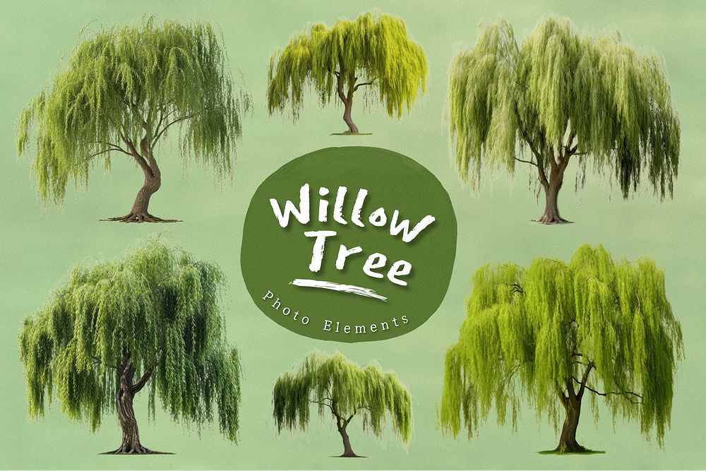 Willow tree nature set | Free Photo - rawpixel