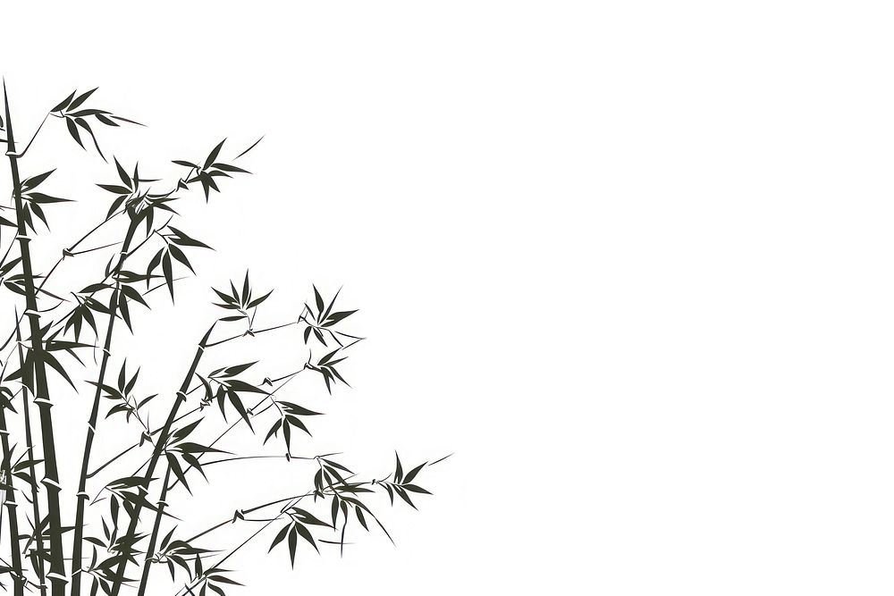 Elegant bamboo minimalist nature art | Free Photo Illustration - rawpixel