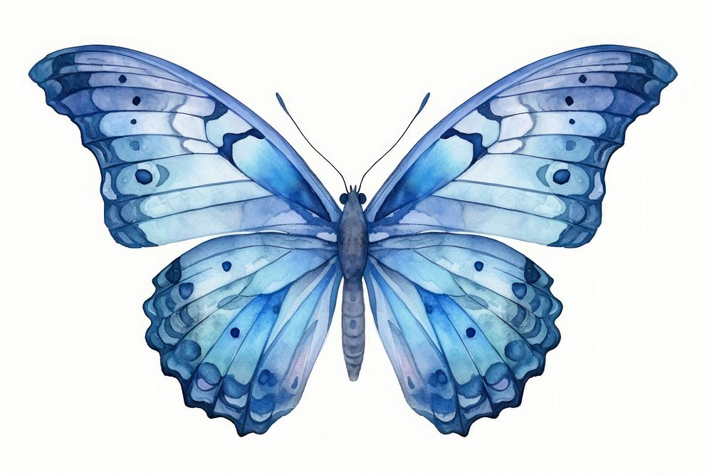 Elegant blue watercolor butterfly illustration | Free Photo ...
