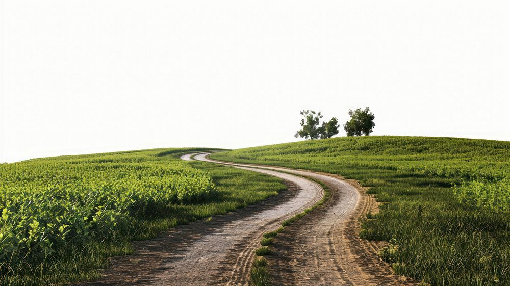 Serene winding path through nature | Free Photo - rawpixel