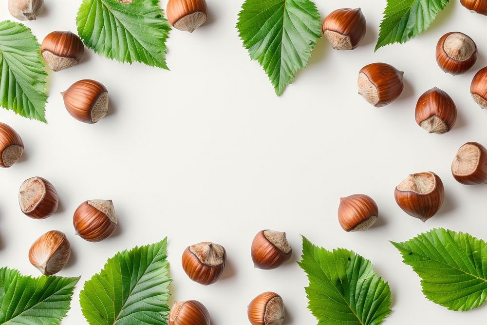 Hazelnuts leaves white background | Free Photo - rawpixel