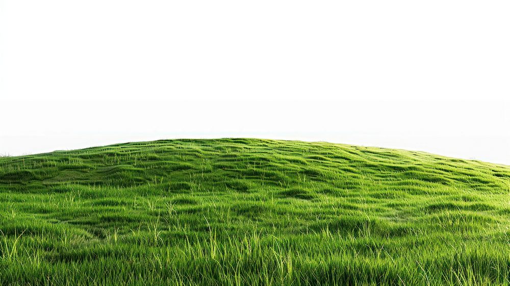 Grassy Hill grass hill countryside. | Free Photo - rawpixel
