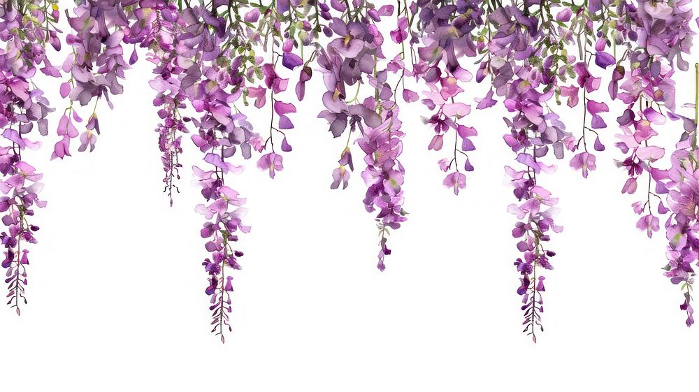 Elegant purple hanging flowers illustration | Free Photo Illustration ...